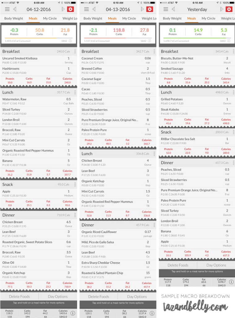 Macronutrient Meal Planner Template