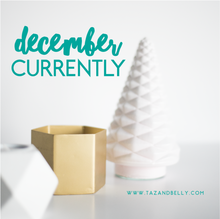 Currently in December | Monthly Infographic - Taz and Belly